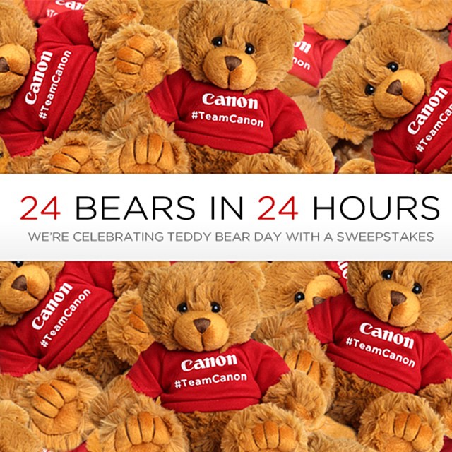 @Canon: It’s #TeddyBearDay! Enter our 24 bears in 24 hours sweepstakes ...