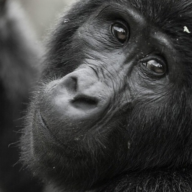 @Canon Photography: James Suter is actively involved in conservation ...