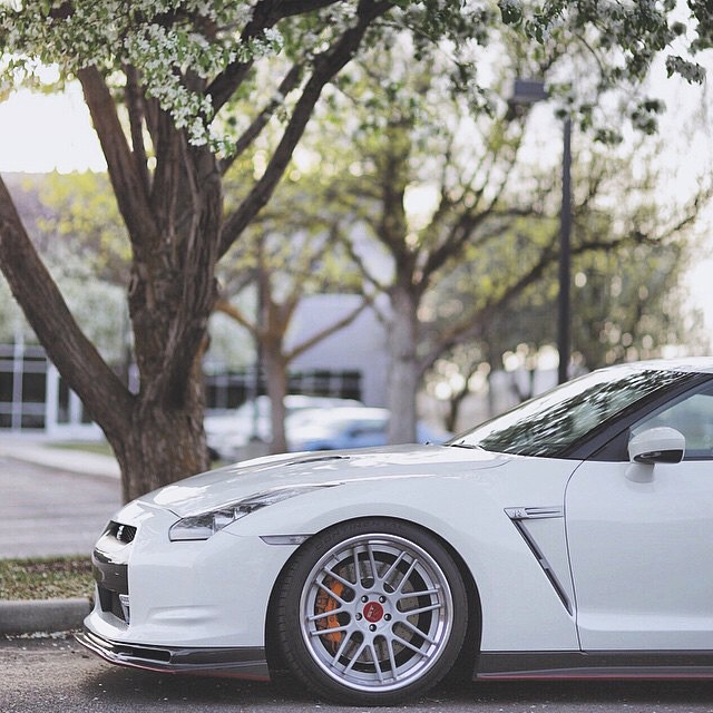@Nissan: King of spring. #Nissan #GTR : @duskin_anthony... - Ciao Nihon