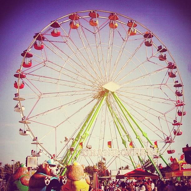 @Honda: Just along for the ride. #summer... - Ciao Nihon