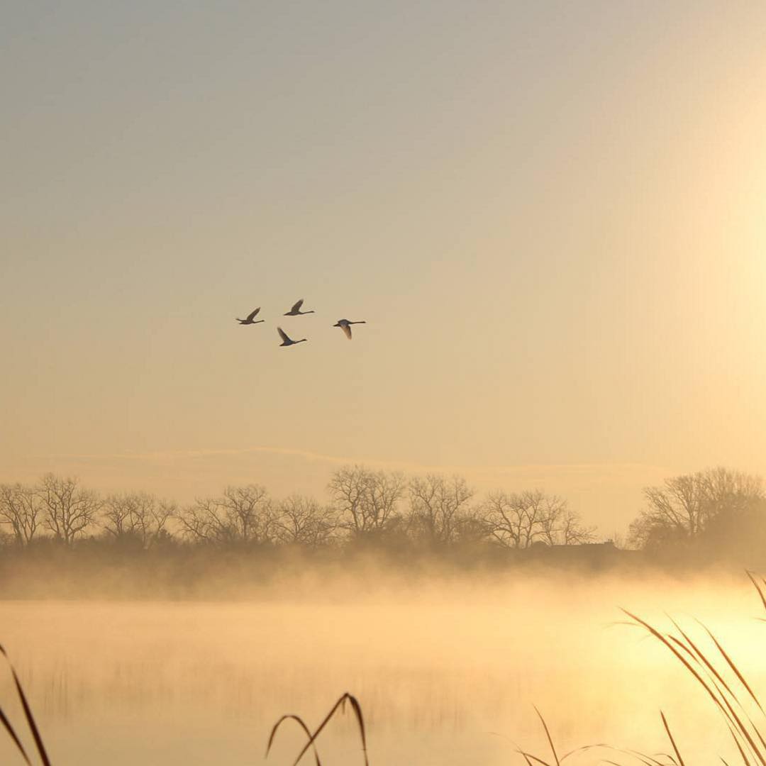@Canon: Gorgeous snap of a misty #sunrise! Our #CanonFanPhoto selection ...