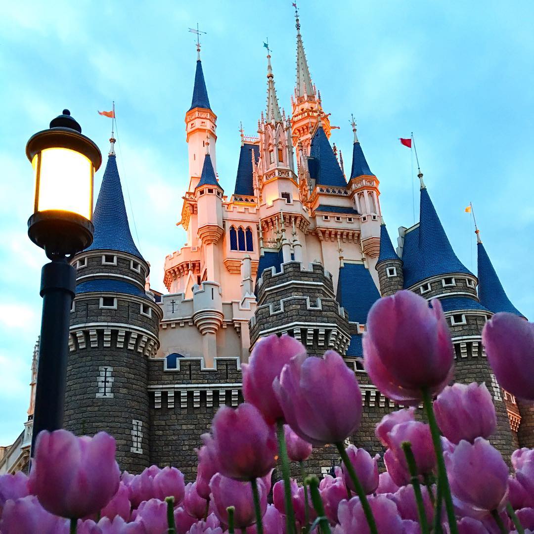 @Tokyo Disney Resort: spring has sprung! 春いっぱい #tulip #cinderellacastle ...