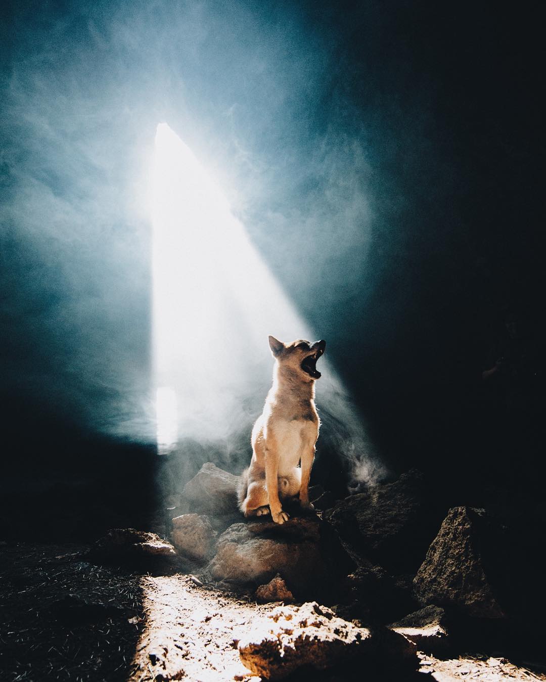 @Canon Photography: Make sure to follow @viewbug where I'm (@henry ...