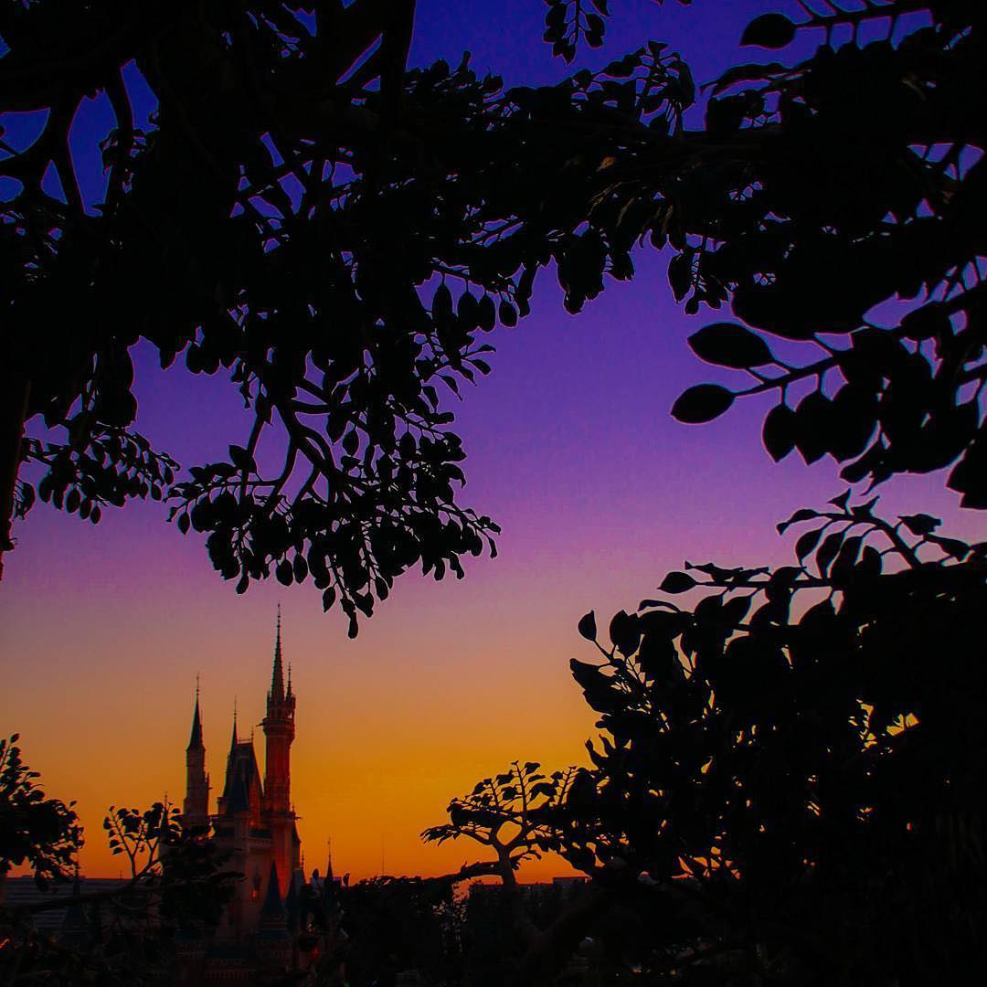 @Tokyo Disney Resort: Cinderella Castle from the tree house 秘密基地から眺める ...
