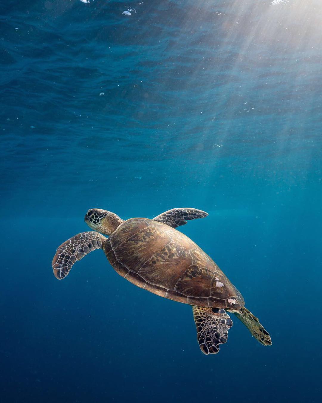 @Canon Photography: Photography | @jordan_robins Great Barrier Reef ...