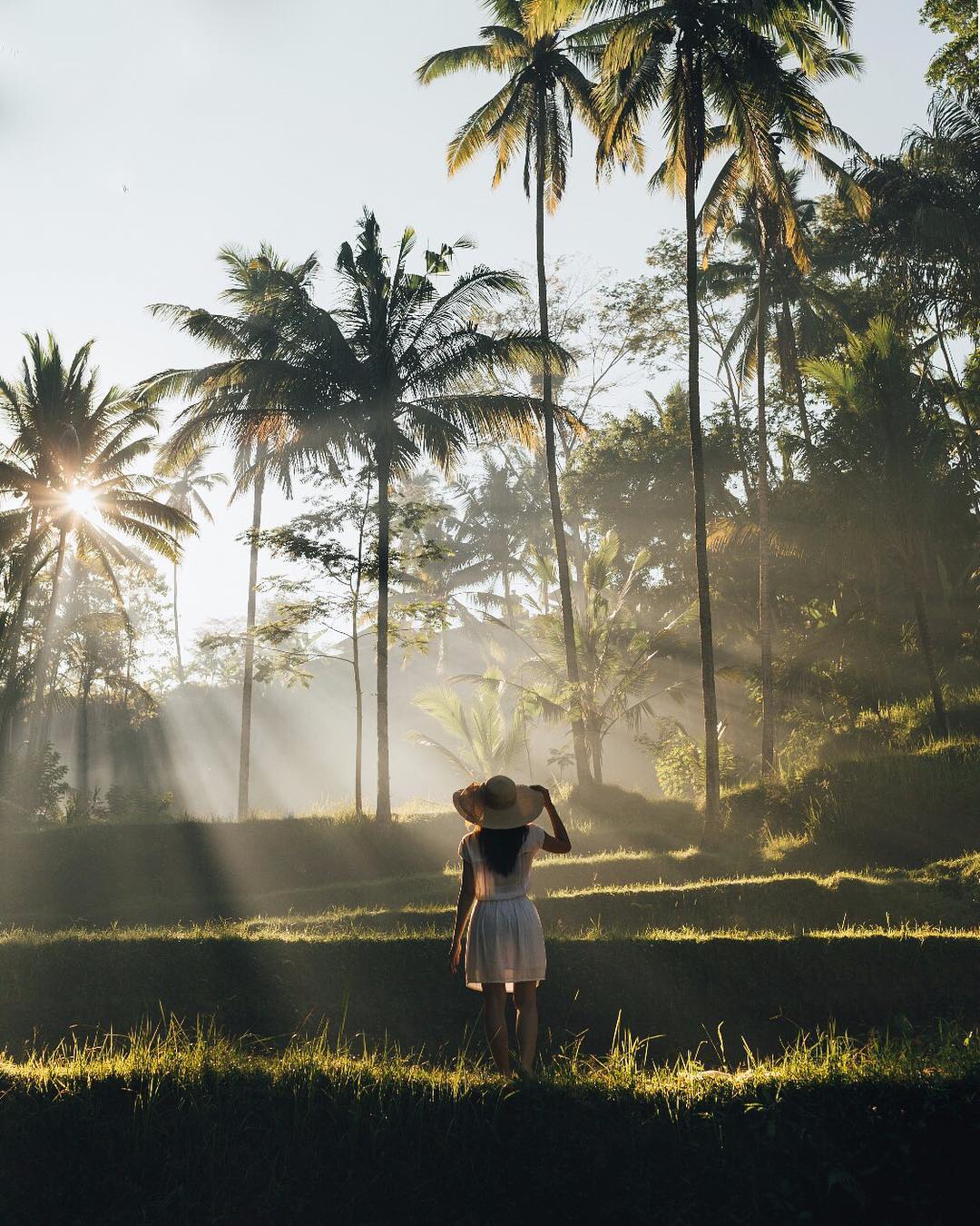 @Canon Photography: Photography | @sutarahady Ubud, Bali Canon 5D mark ...
