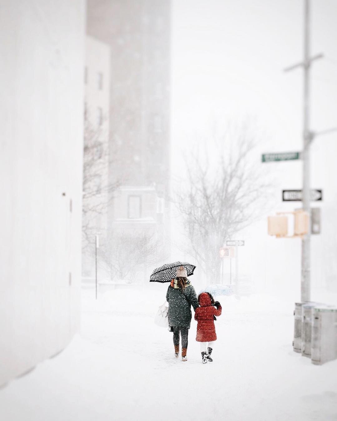 @Canon: "I sometimes bring my camera to the office, hoping to grab some ...