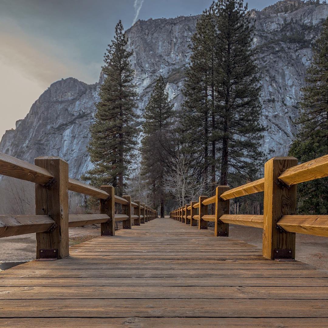 @Canon Photography: Stay centered- In life you will always get pulled ...