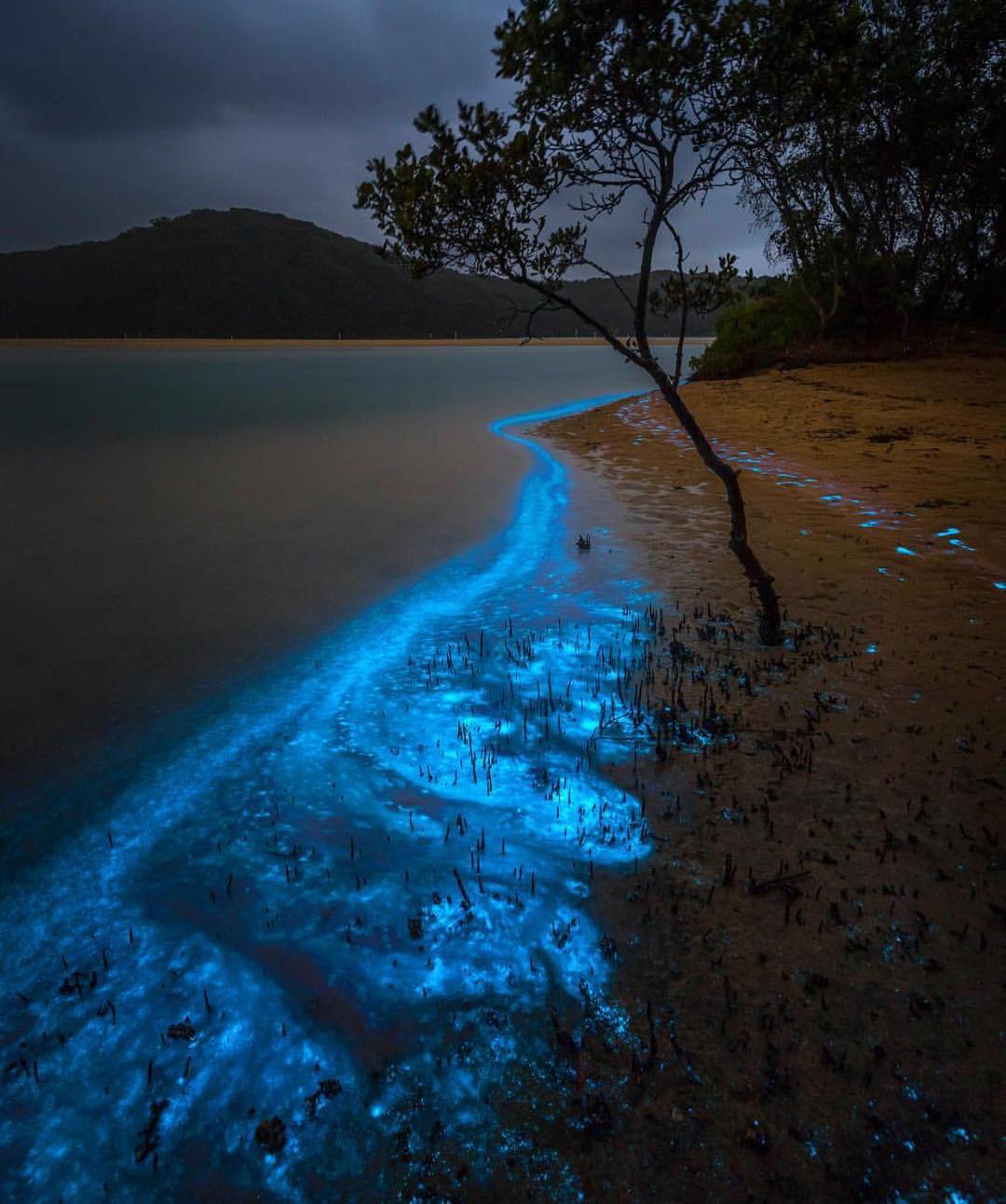 @Canon Photography: Sea sparkle along the sapphire coast in Australia ...