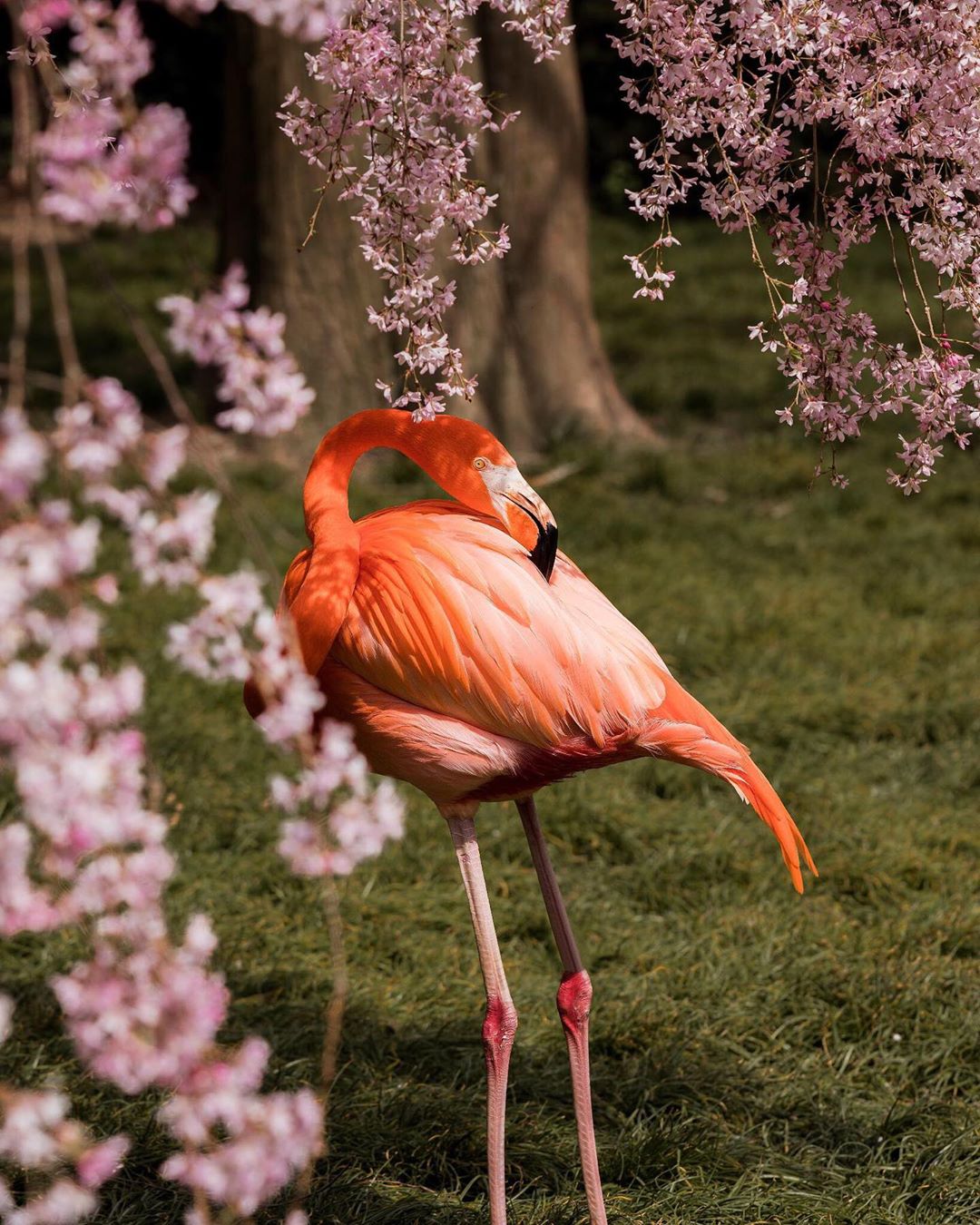 Canon: "Spring is here in Philadelphia. It's so lucky to capture the ...