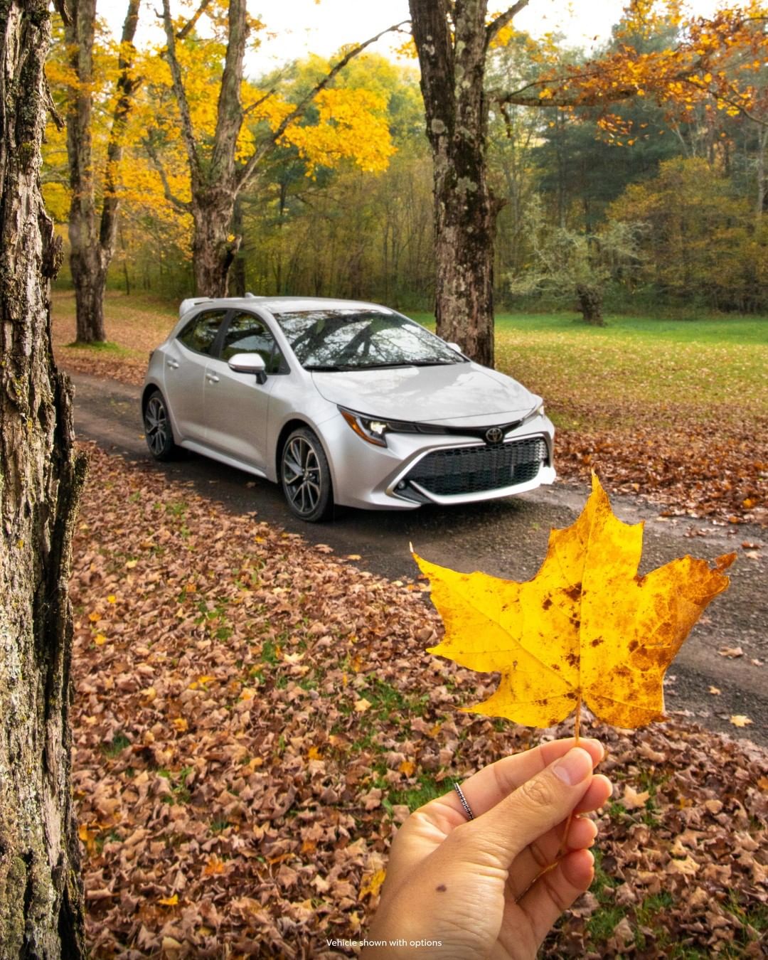 Toyota: Take some time to enjoy the colors of fall. #Corolla Hatchback #LetsGoPlaces... - Ciao Nihon