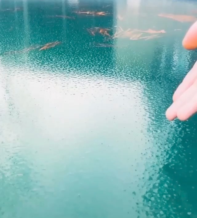 Canon Photography: This is what happens when you put your hand in water that is transitioning to ...