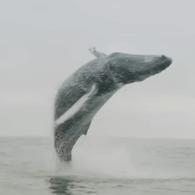 Canon Photography: Boooom! What a spectacular video! Videography ...