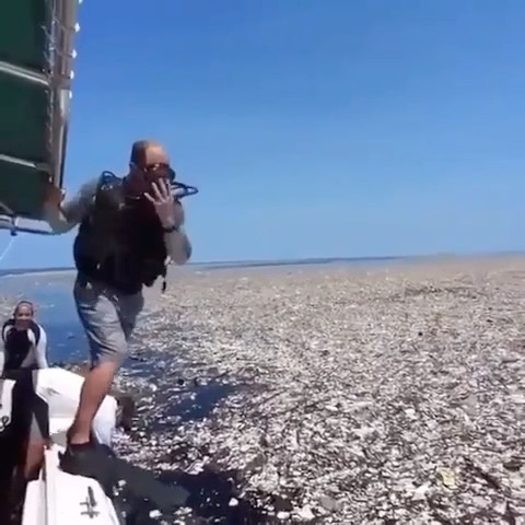 Canon Photography: This exists and that it is an enormous problem ...