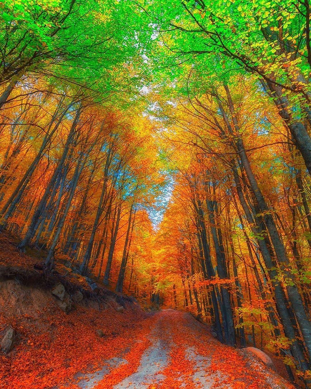 Canon Photography: What’s your favourite season? Photography | @egeli ...