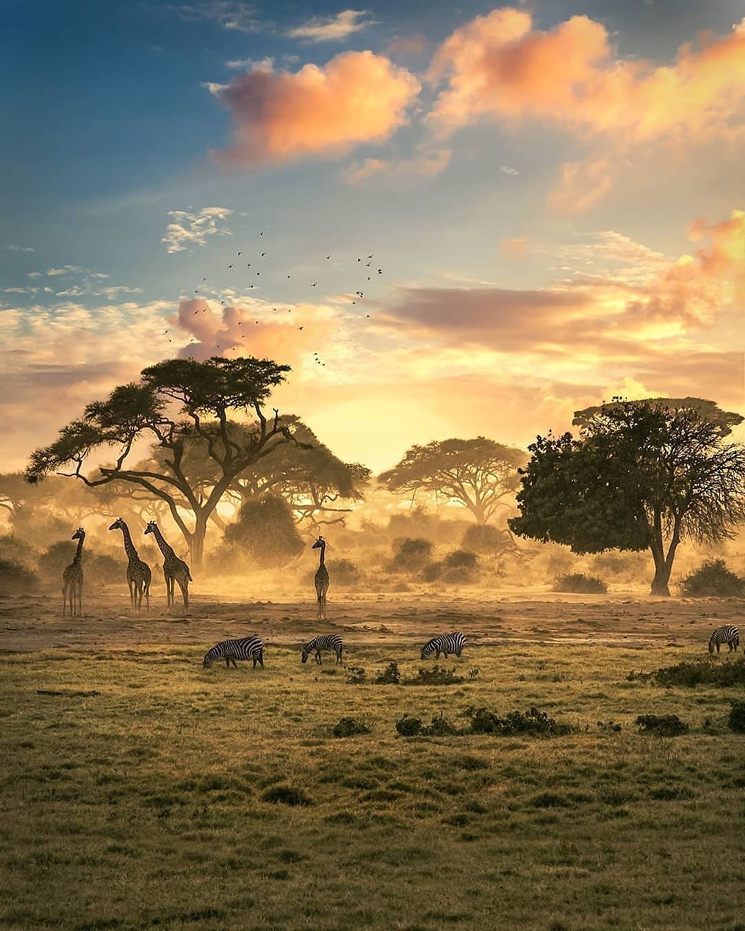 Canon Photography: Beautiful scene in Zimbabwe Digital Art | @s1ef4n ...