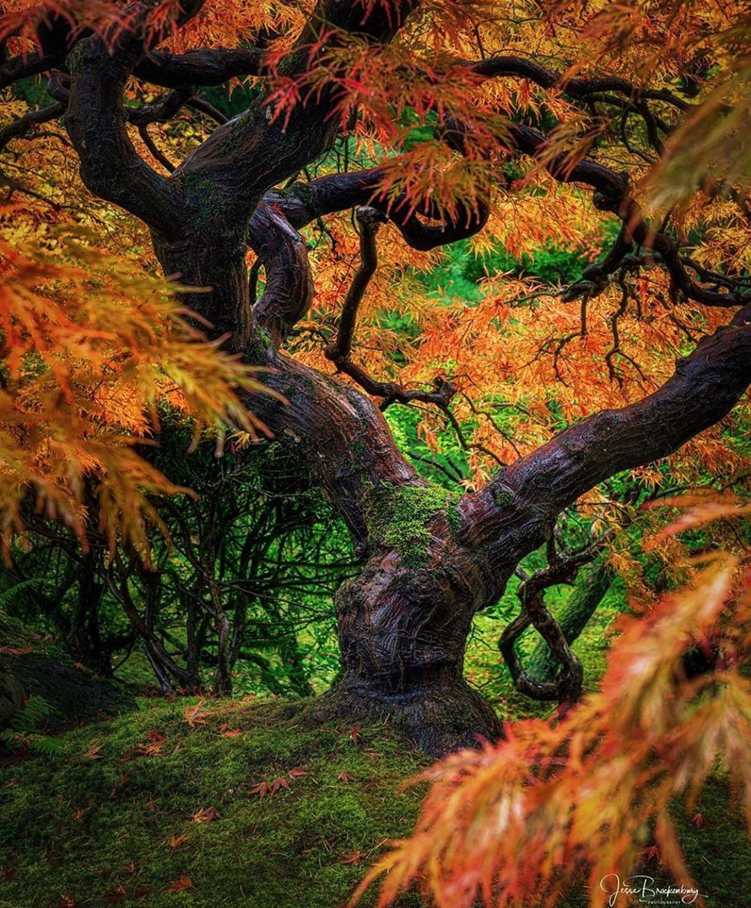 Canon Photography: Autumn is coming! Who’s excited to shoot the colours ...