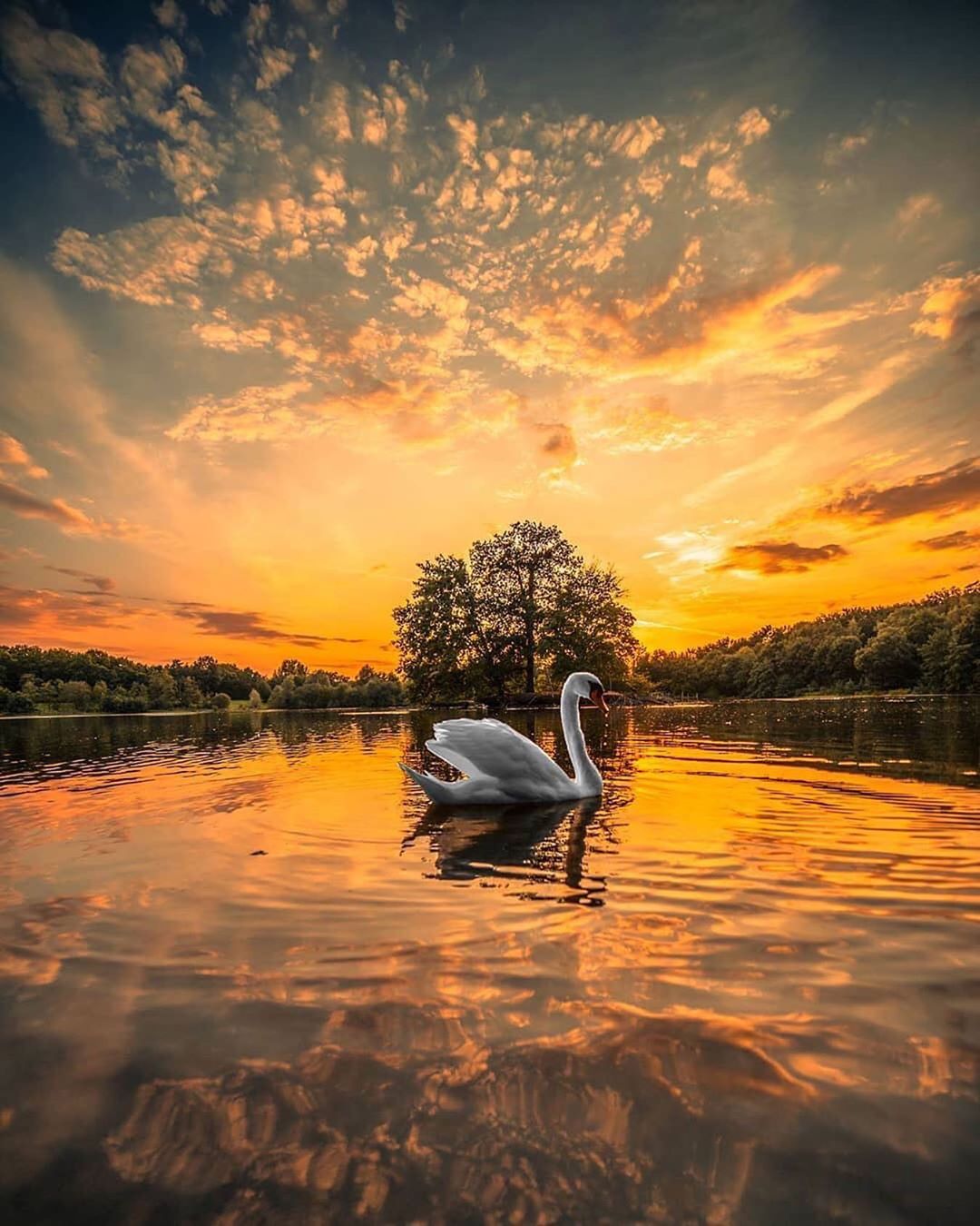 Canon Photography: Stunning sunset in Germany Photography ...