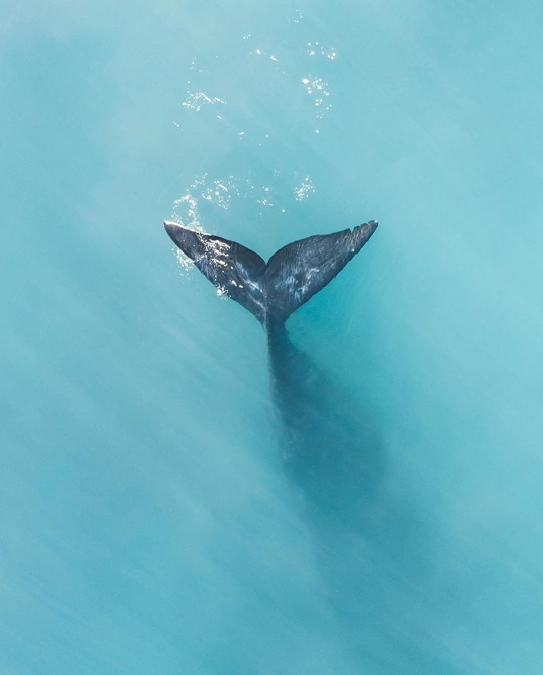 Canon Photography: Calming photo set from Australia Photography ...