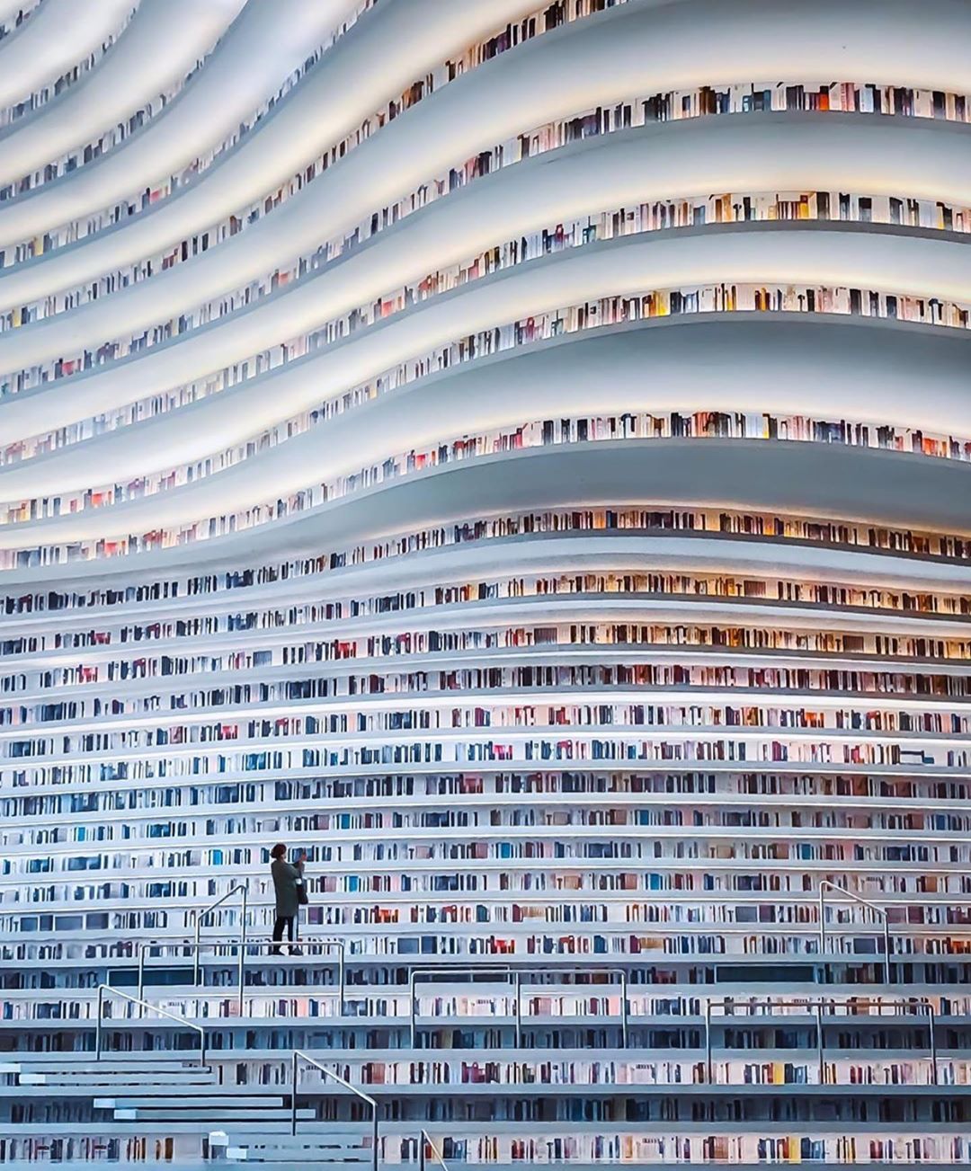 Canon Photography: Can you guess how many books are in this library ... Canon Photography: Can you guess how many books are in this library ...