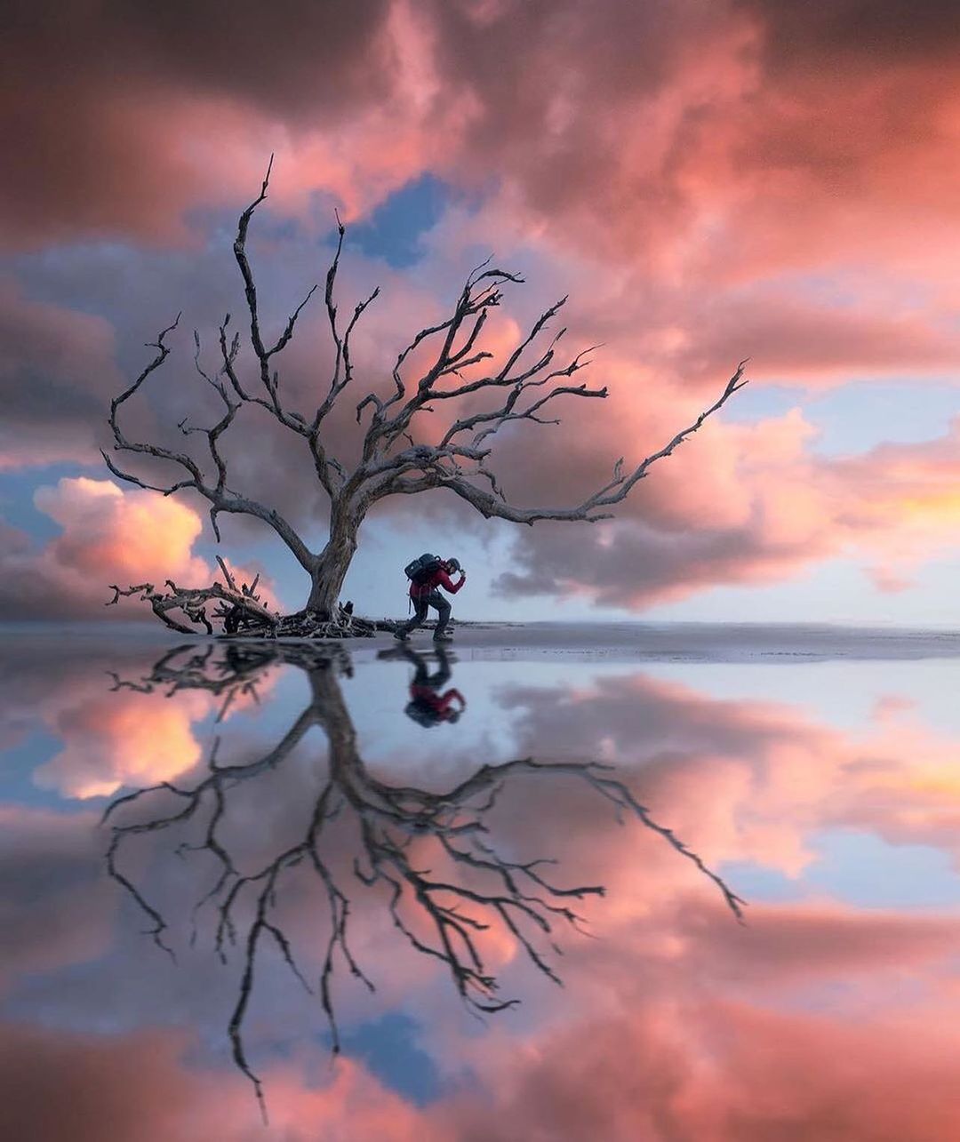 Canon Photography: A stunning reflection in Georgia, USA. Photography ...