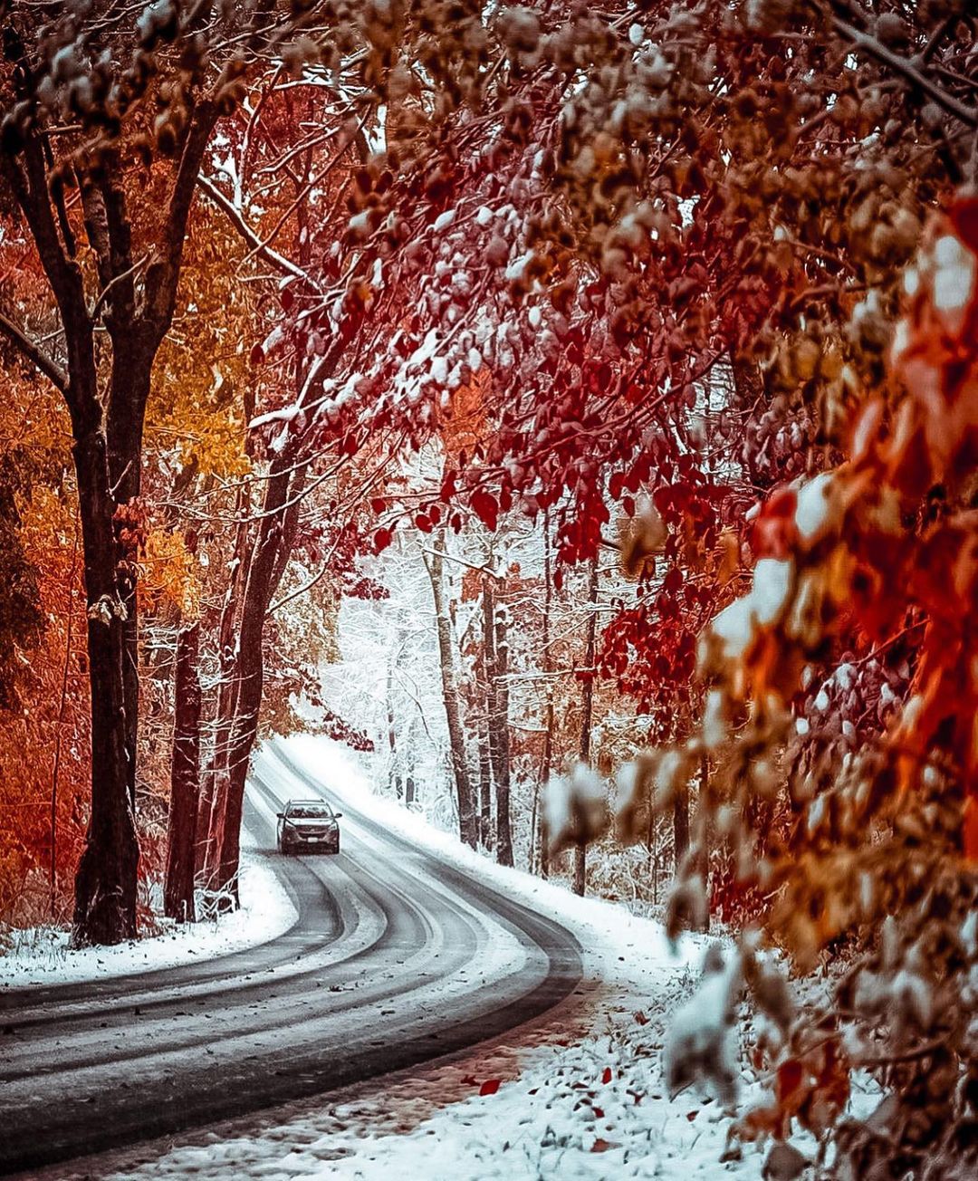 Canon Photography: Fall to Winter Photography // @new_englander ...