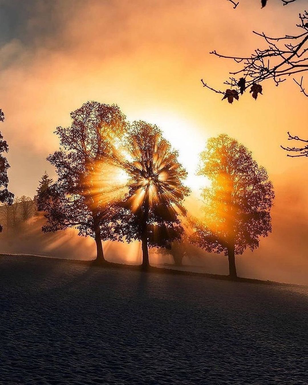 Canon Photography: Stunning sun rays. Photography // @piet_flosse ...