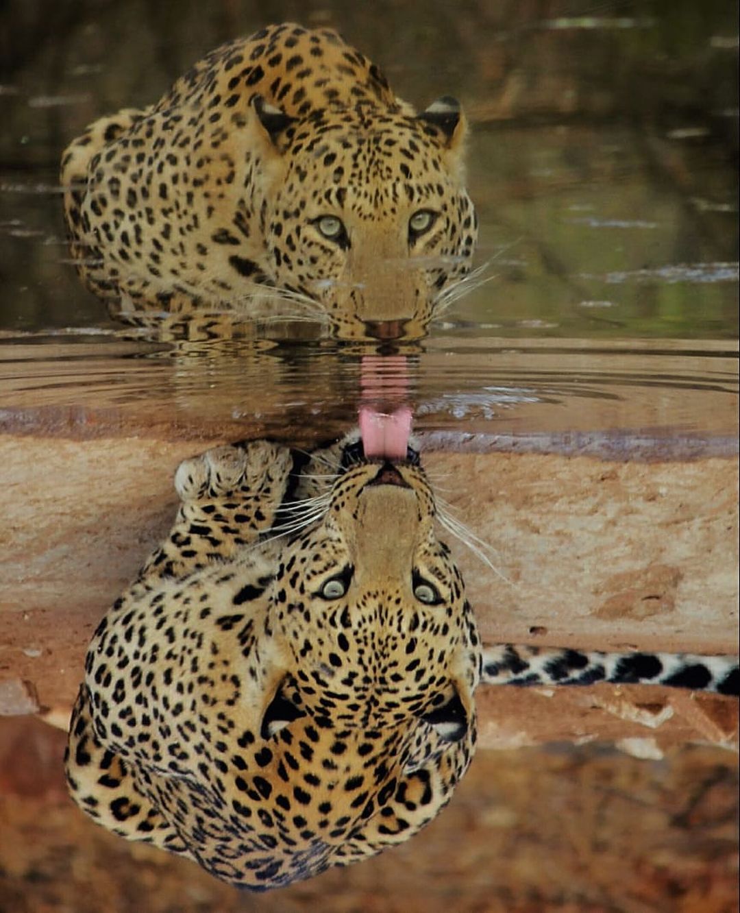 Canon Photography: Love the perfect timing of sunset light hitting a ...