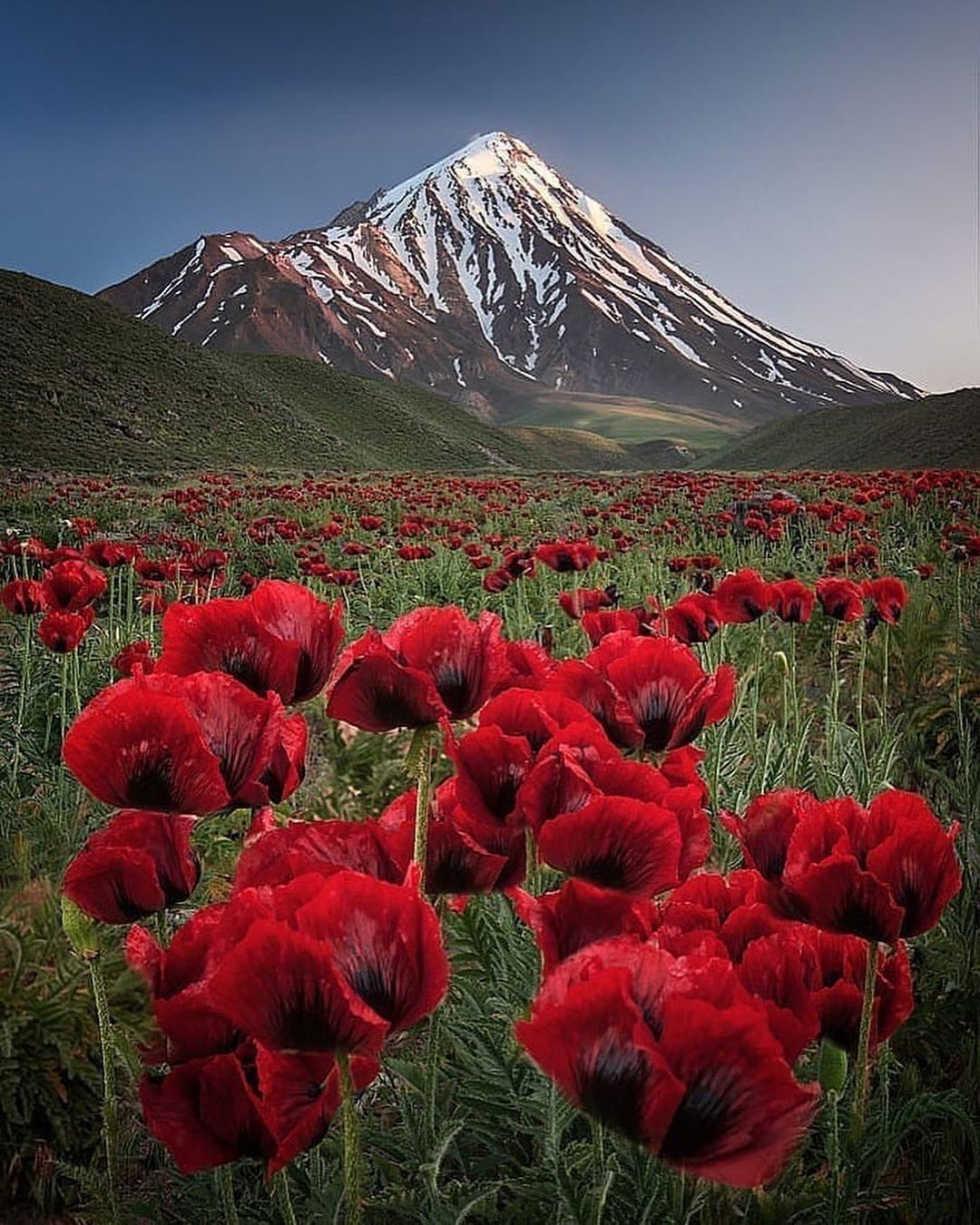 Canon Photography: Spring in Iran Wow! Photography // @amina.zallaghi ...