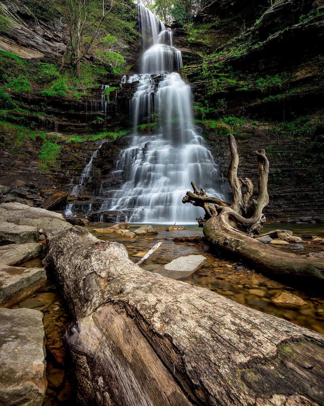 Canon: Photo by @jeff.peele: "I was on a casual drive with my wife in ...