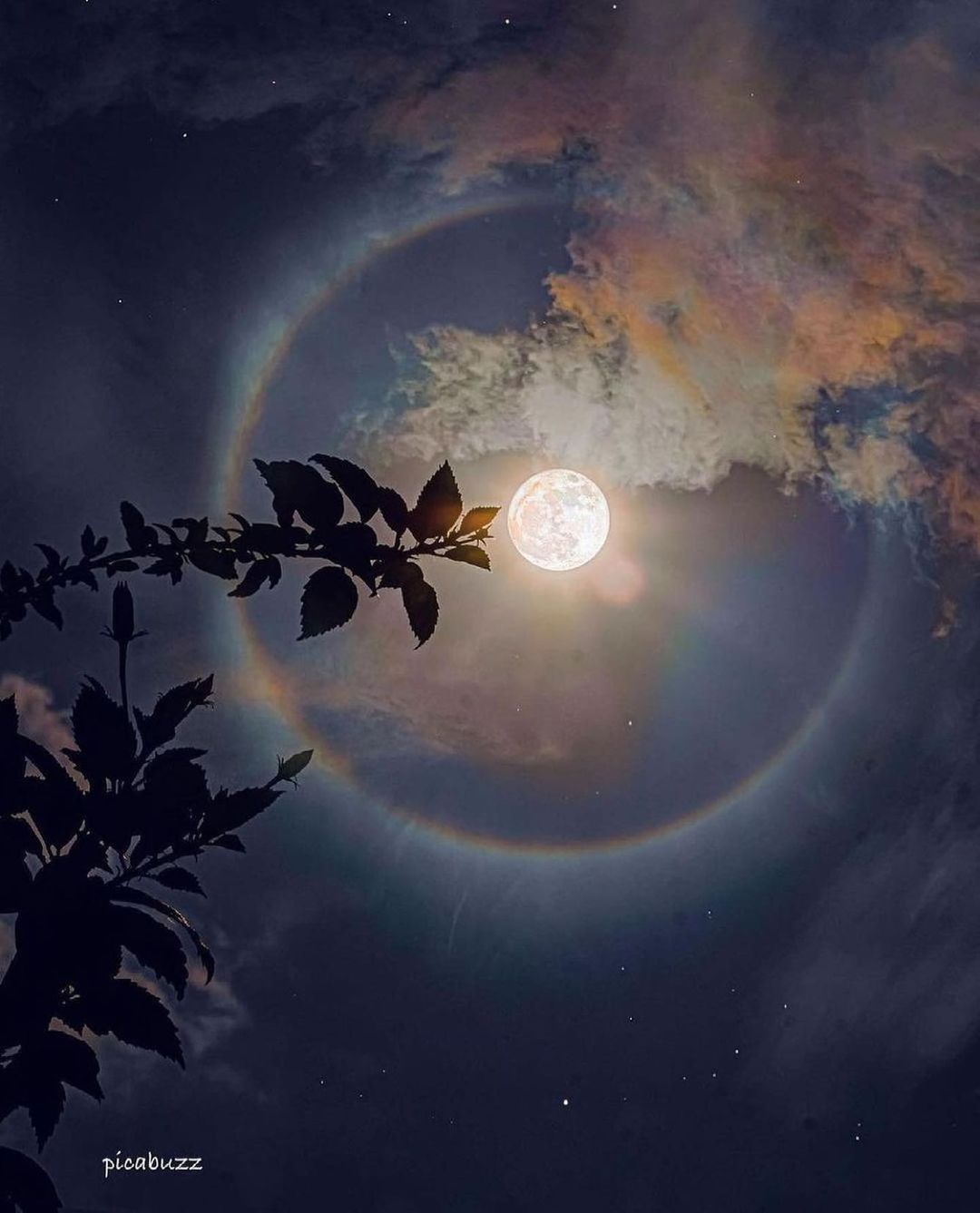 Canon Photography: A stunning 22° Halo in India Photography ...