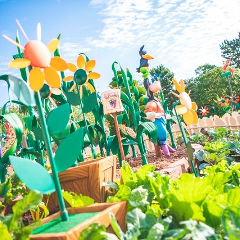 Tokyo Disney Resort: Goofy's garden is just so goofy! ポップコーンも収穫できちゃう ...