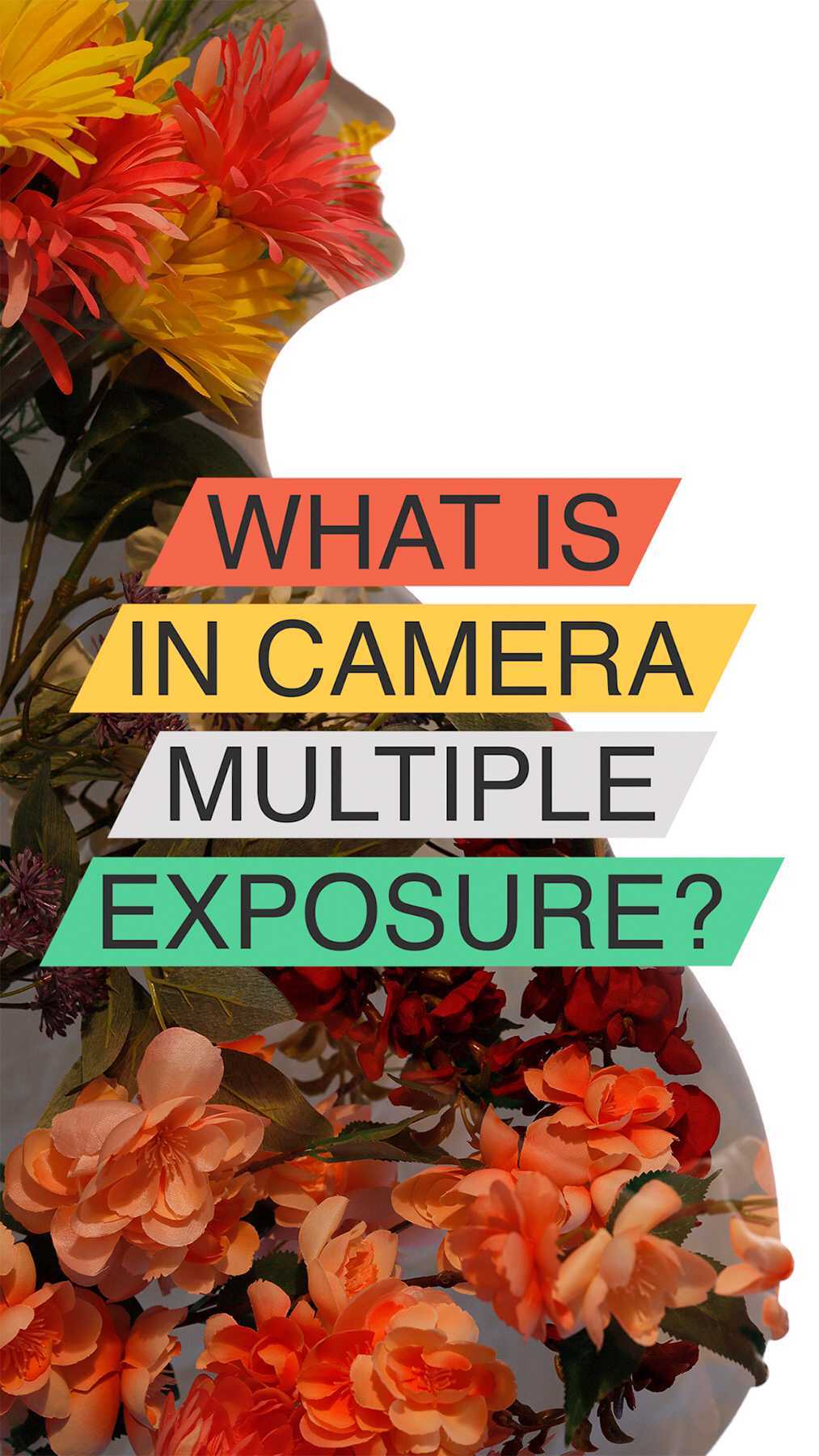 Canon: Looking to create unique imagery? Learn how to combine 2 images ...