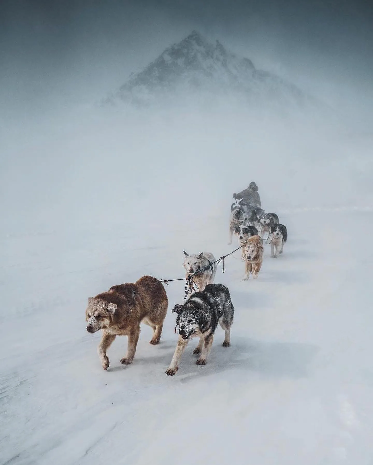 Canon Photography: The rough and harsh nature in Chukotka’s wilderness ...