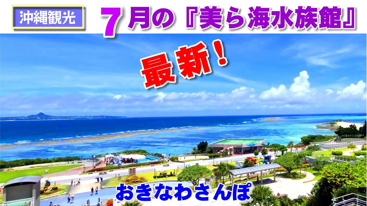 沖縄観光☂雨の日もOK 2023年7月『美ら海水族館 in 海洋博公園』 ♯546 沖縄旅行 おきなわさんぽ 沖縄散歩 - Ciao Nihon