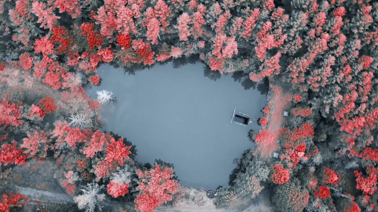 【4Kドローン空撮】山の中の池 DJI Mavic2 Pro Premior Pro FRARED LUT - Ciao Nihon