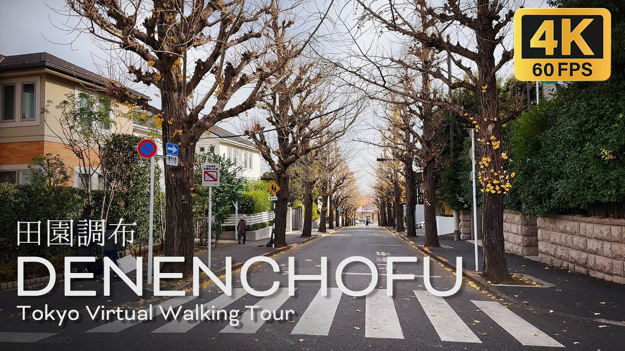 Fear of Missing Out: Exploring Tokyo's Exclusive Denenchofu, tokyo ...