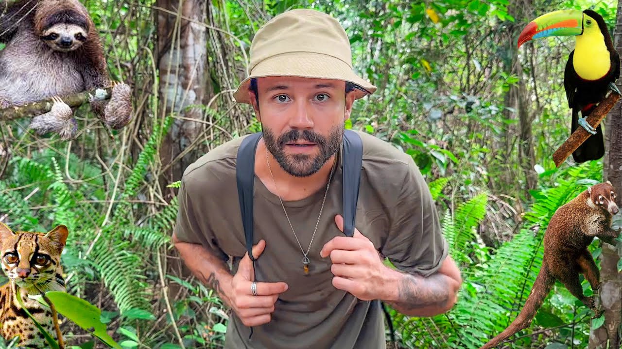 Dia 2: Buscando animais selvagens na Costa Rica 🇨🇷 - Ciao Nihon