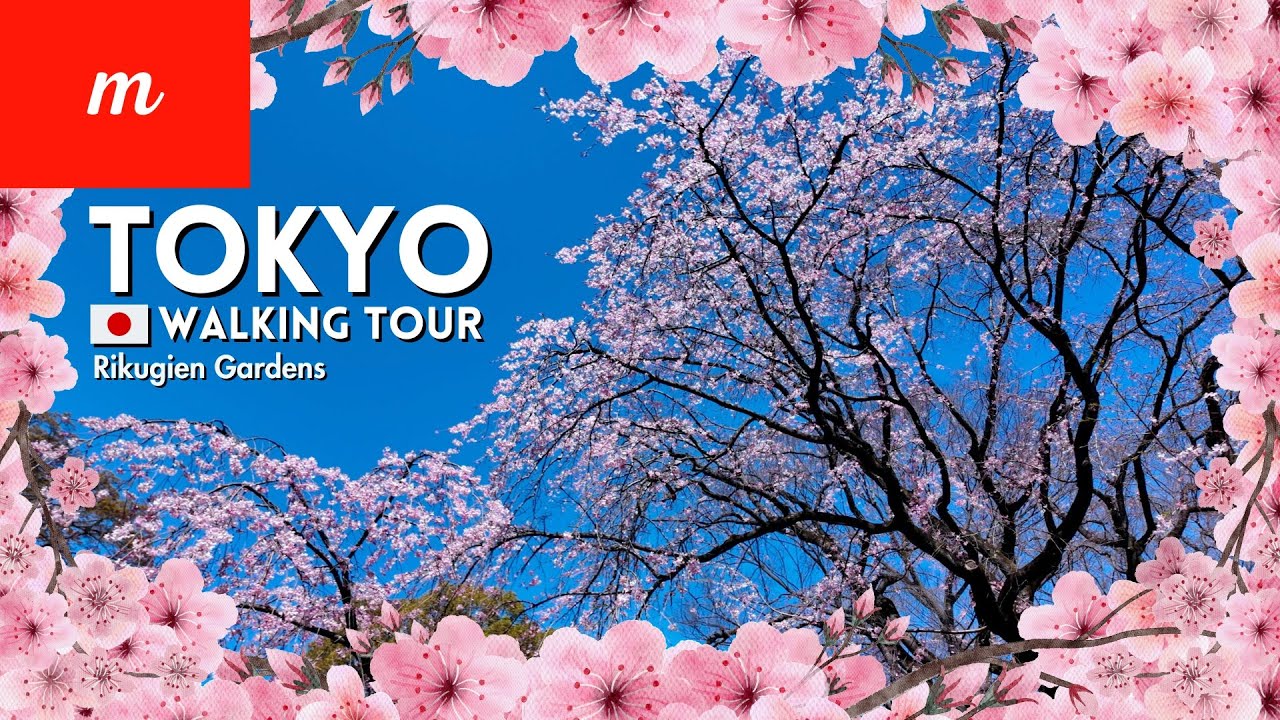 🌸TOKYO Walking Tour | Rikugien Gardens Cherry Blossoms Viewing | March ...