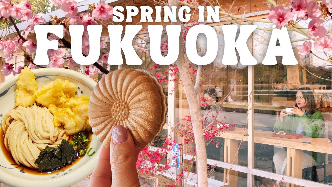 Spring in Fukuoka Vlog 🌸 Best Cherry Blossom Spots, Cafes, Things to Do ...