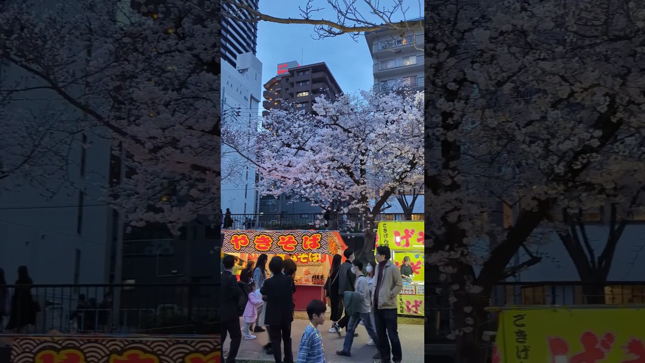 A look at the food stalls and cherry blossoms of Tenmabashi #osaka # ...