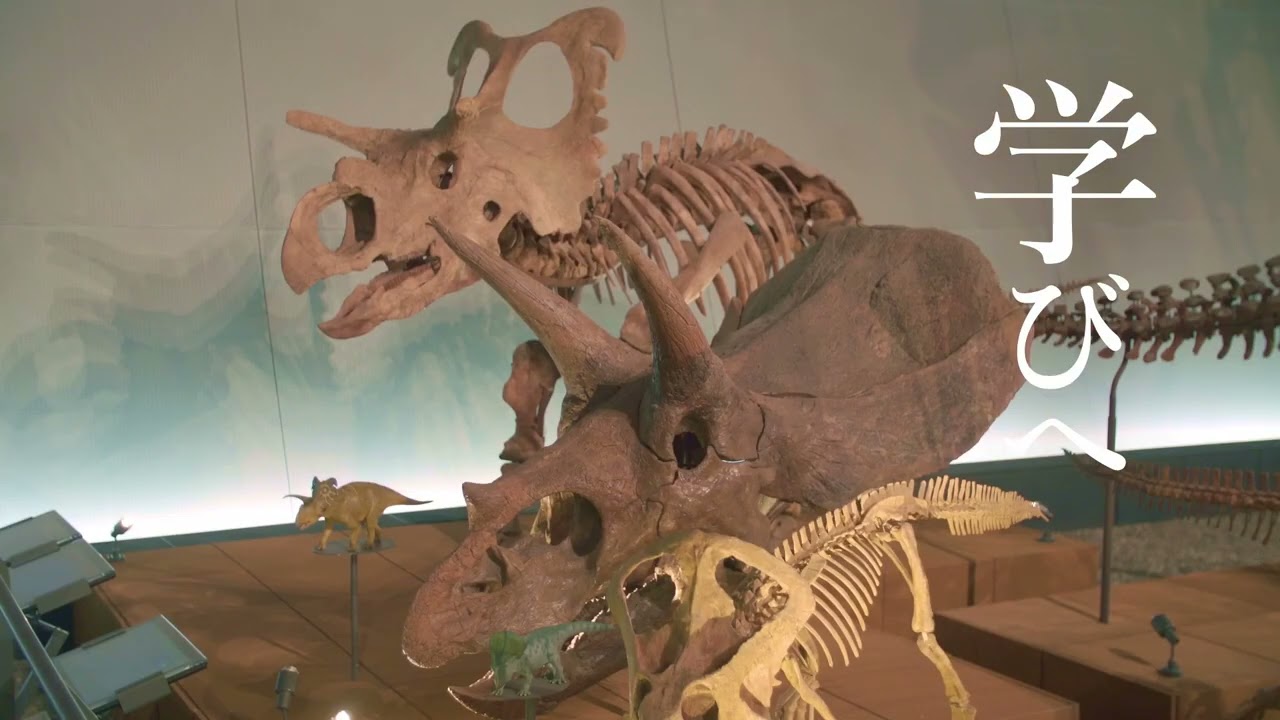 日本の旬北陸 Vol.2【JTB公式Official】 - Ciao Nihon