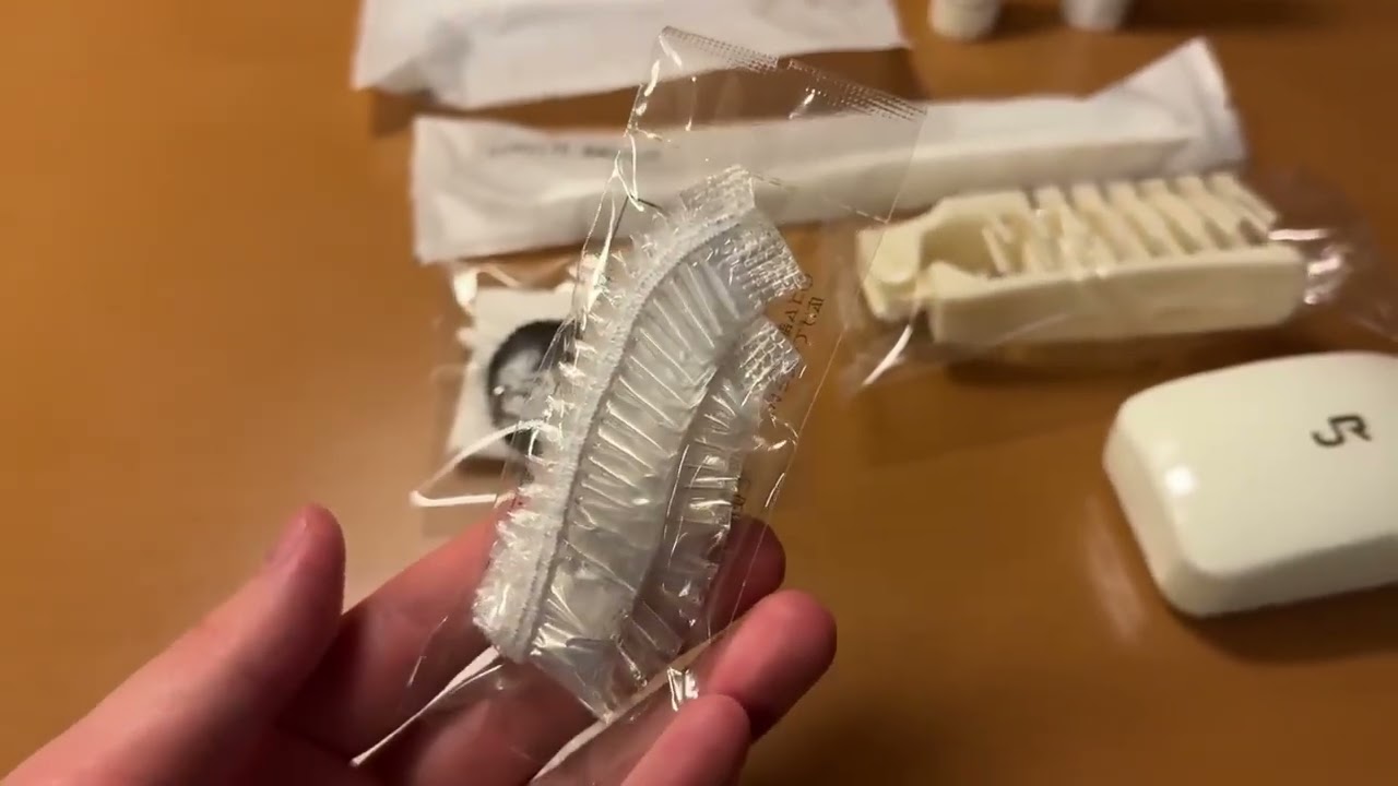 Japan’s First Class Overnight Train - 🇯🇵 Sunrise Express - Ciao Nihon