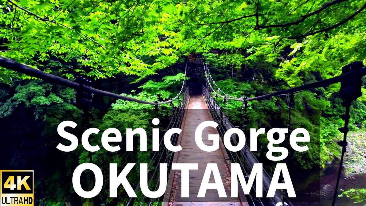 【4k】Okutama Station Area: Part 2🌲Walking Tour🌲駅近の氷川渓谷を散策 - Ciao Nihon