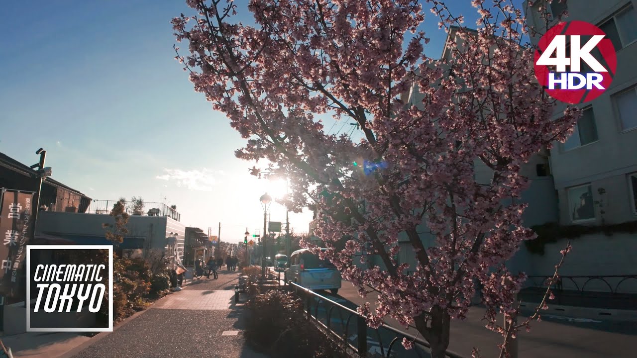 Kokushikan University to Setagaya Daita walking tour, 4K HDR Japan ...