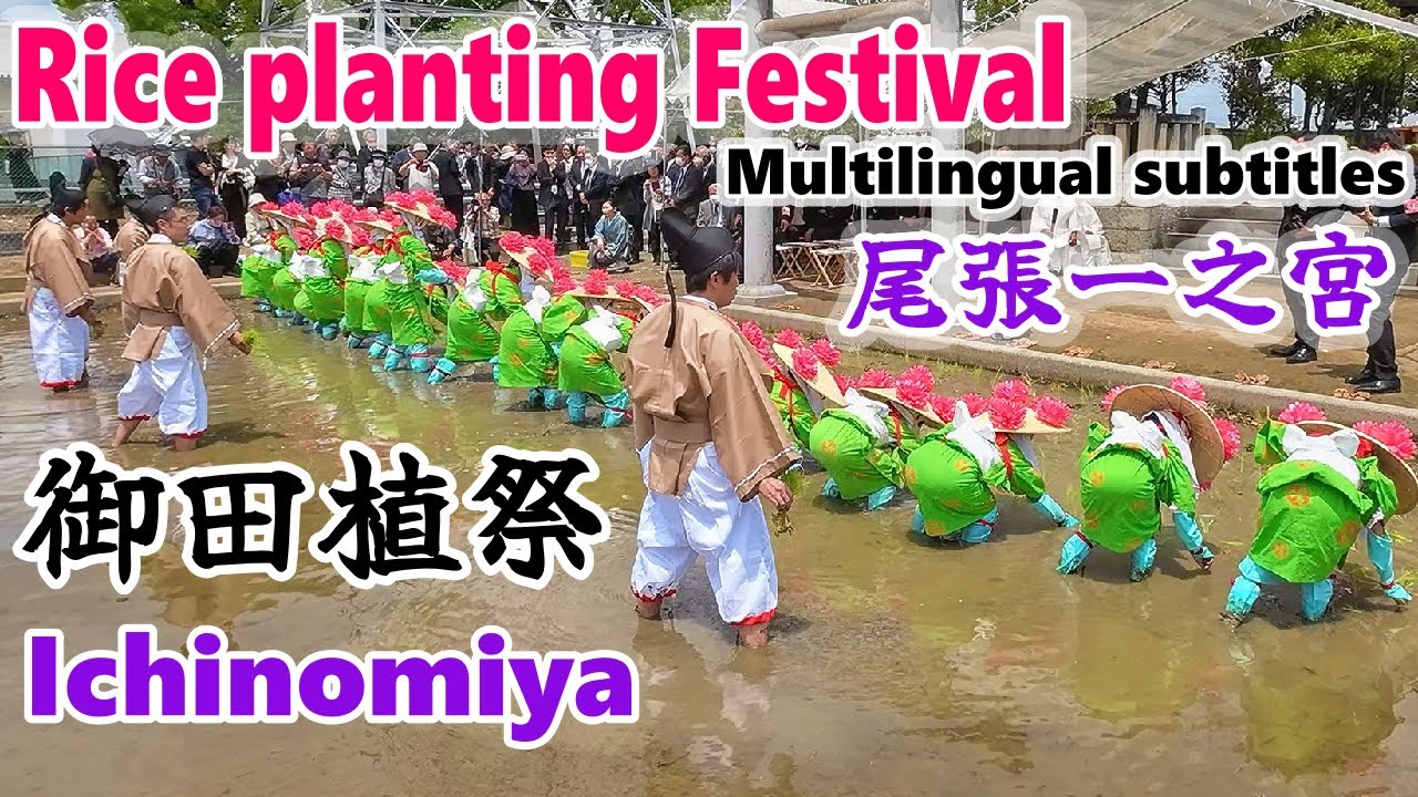 田んぼで歌い舞う御田植祭【真清田神社】Song and dance ! Rice planting festival in Japan ...