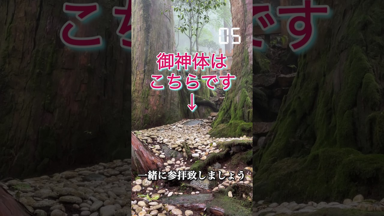 もし逃したら2度とないです!24時間後から良いことが次々と起きます【玉置神社玉石社遠隔参拝】最強パワースポット(奈良県十津川村) Ciao