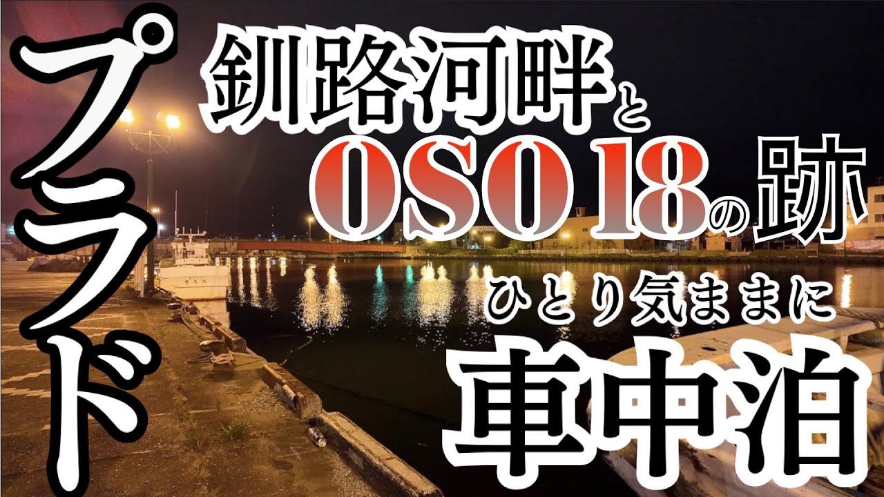 牛66頭を襲ったOSO18の特別企画展を見に標茶町博物館｢ニタイ･ト｣に行ってみる【プラド車中泊⑯】 - Ciao Nihon