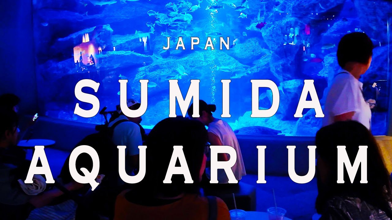 Sumida Aquarium 4K Walking Tour (Tokyo Japan)-Tour with Captions & Immersive Sound.すみだ水族館 - Ciao ...