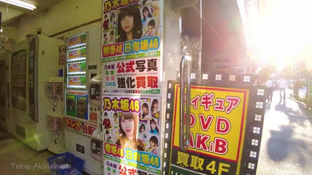 🔴Tokyo Summer Walk 24/7💖Enjoy the hot summer♪🐶Akihabara, Shibuya, Shinjuku, etc. - Ciao Nihon